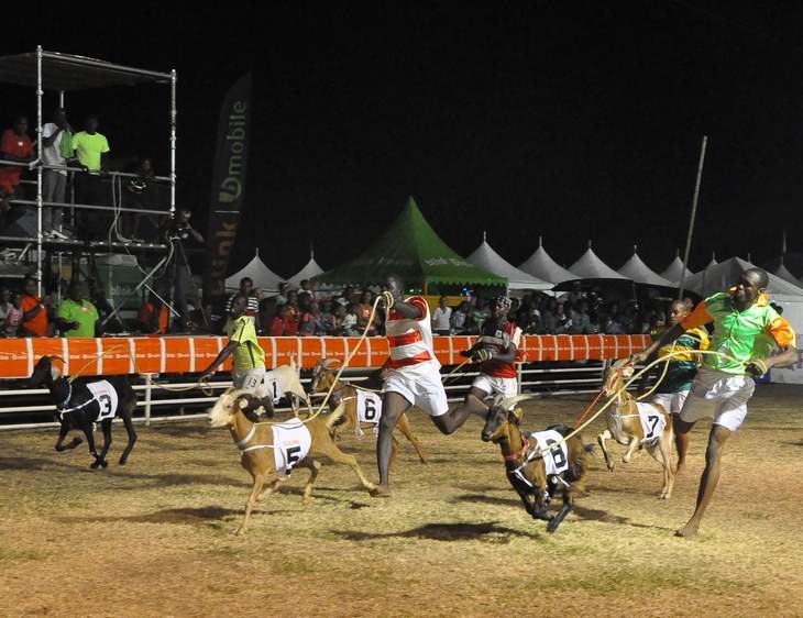 April 18, crab and goat race festival in Tobago. Whatever floats your goat