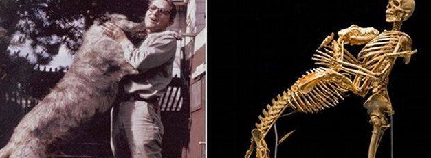 Grover Krantz donated his body to science, but only with his best friends