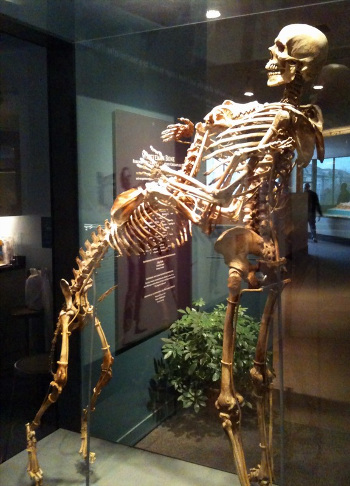 Grover Krantz donated his body to science, but only with his best friends