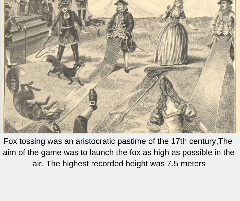 Fox tossing was a bizarre aristocratic pastime of the 17th century ...